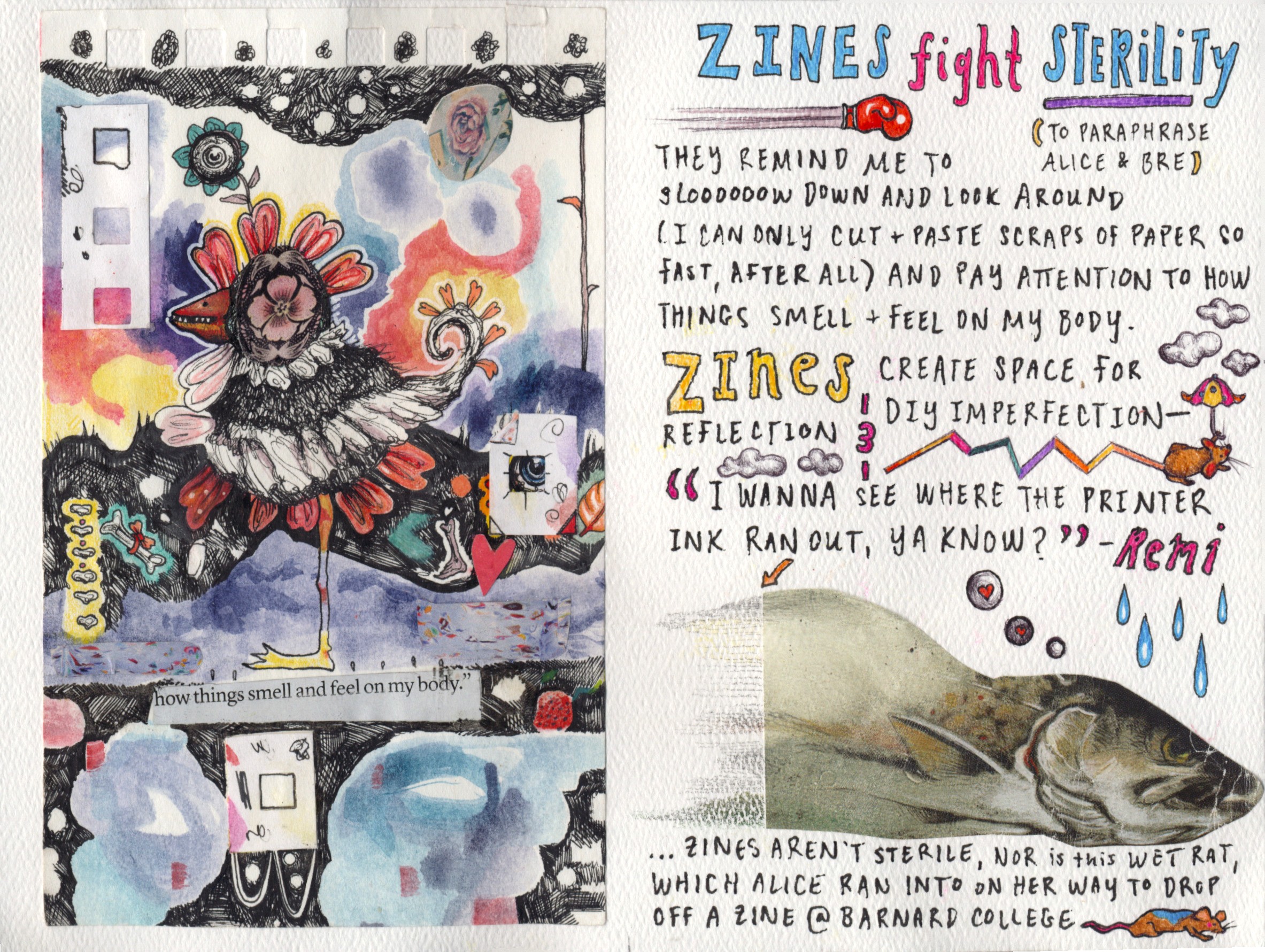 Zines – Sophia Maggio
